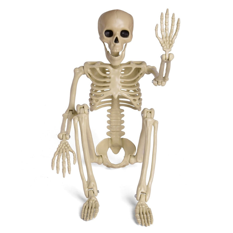 24" Adjustables Skeleton Prop | PopFun