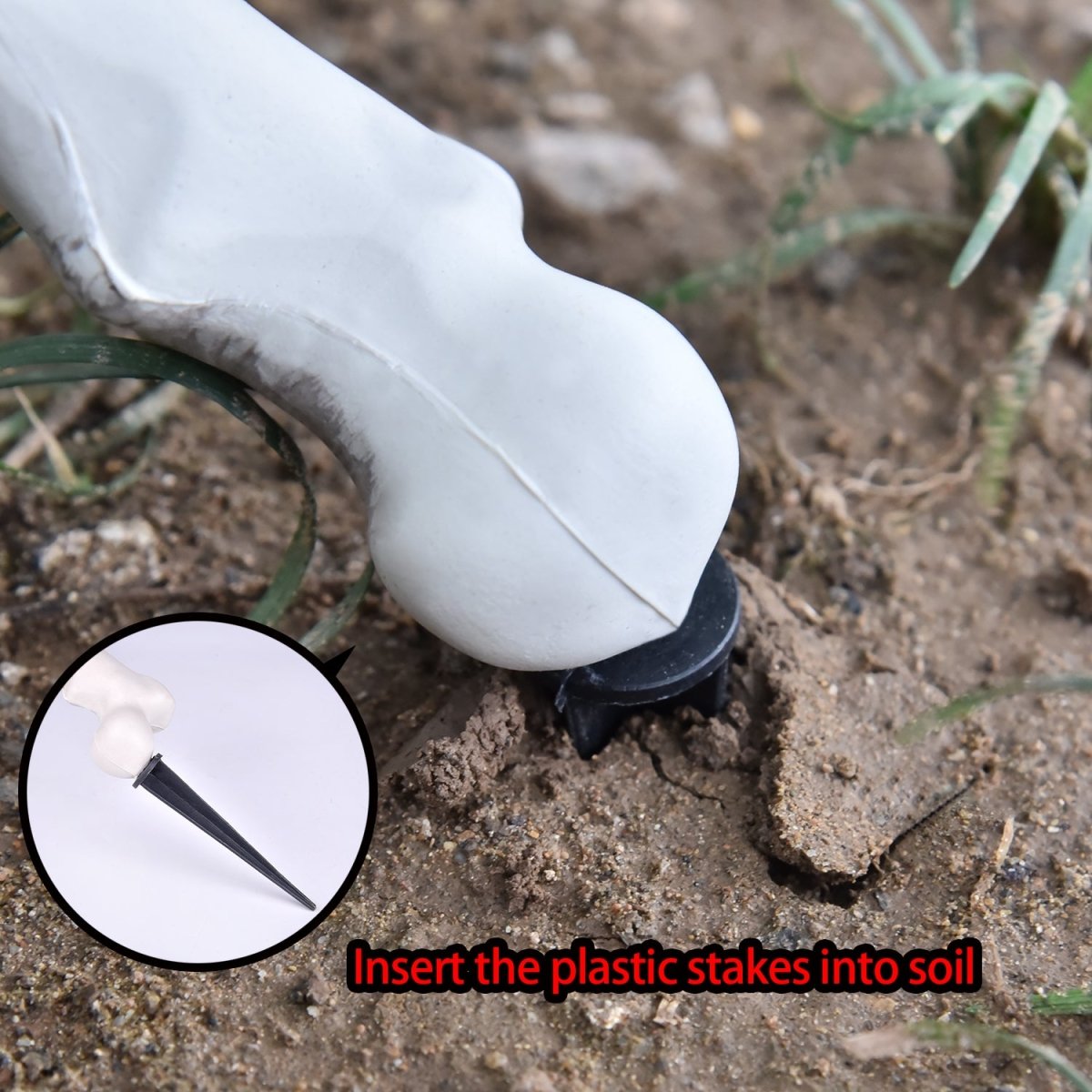 Buried Skeleton l Halloween Lawn Decor l PopFun