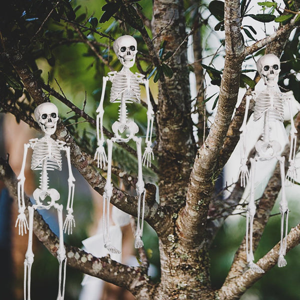 Hanging Skeleton Decorations l PopFun