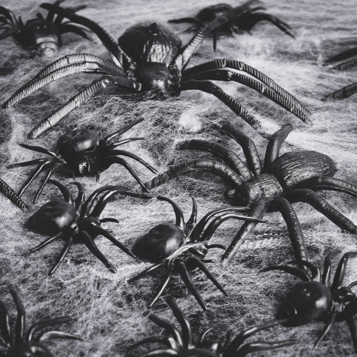 Spider Collection l Halloween Decor l PopFun